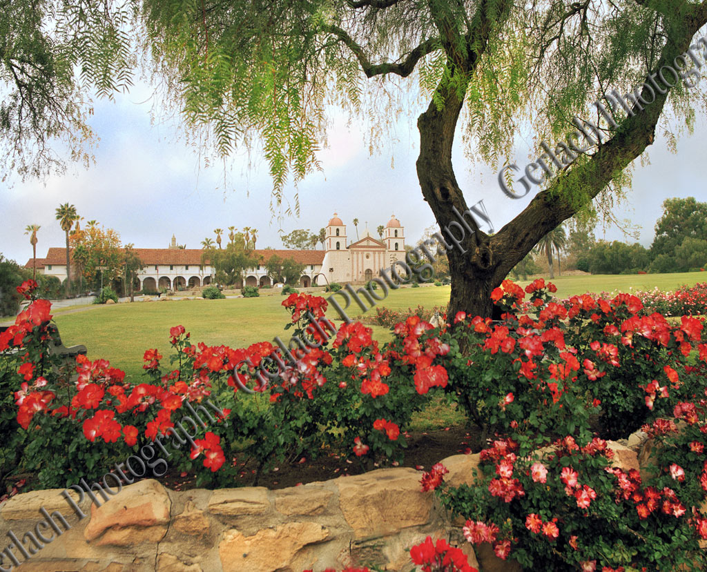 Mission Roses Matted – Gerlach Photography