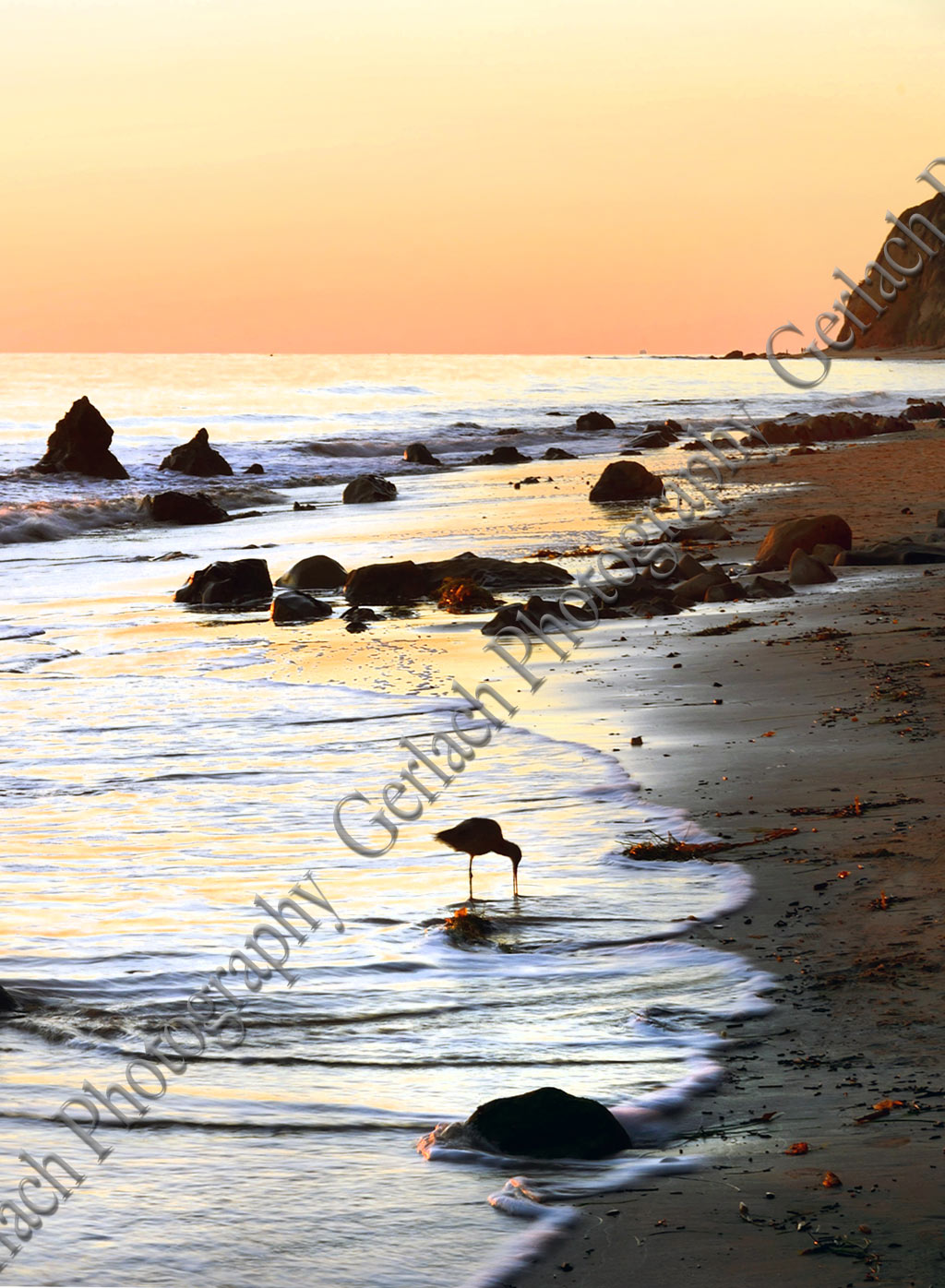 Sand Piper Beach Canvas – Gerlach Photography