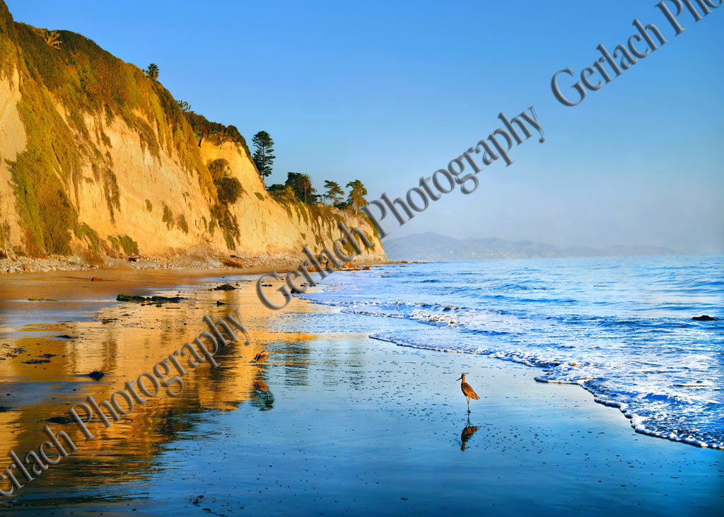 Sand Piper Beach Canvas – Gerlach Photography